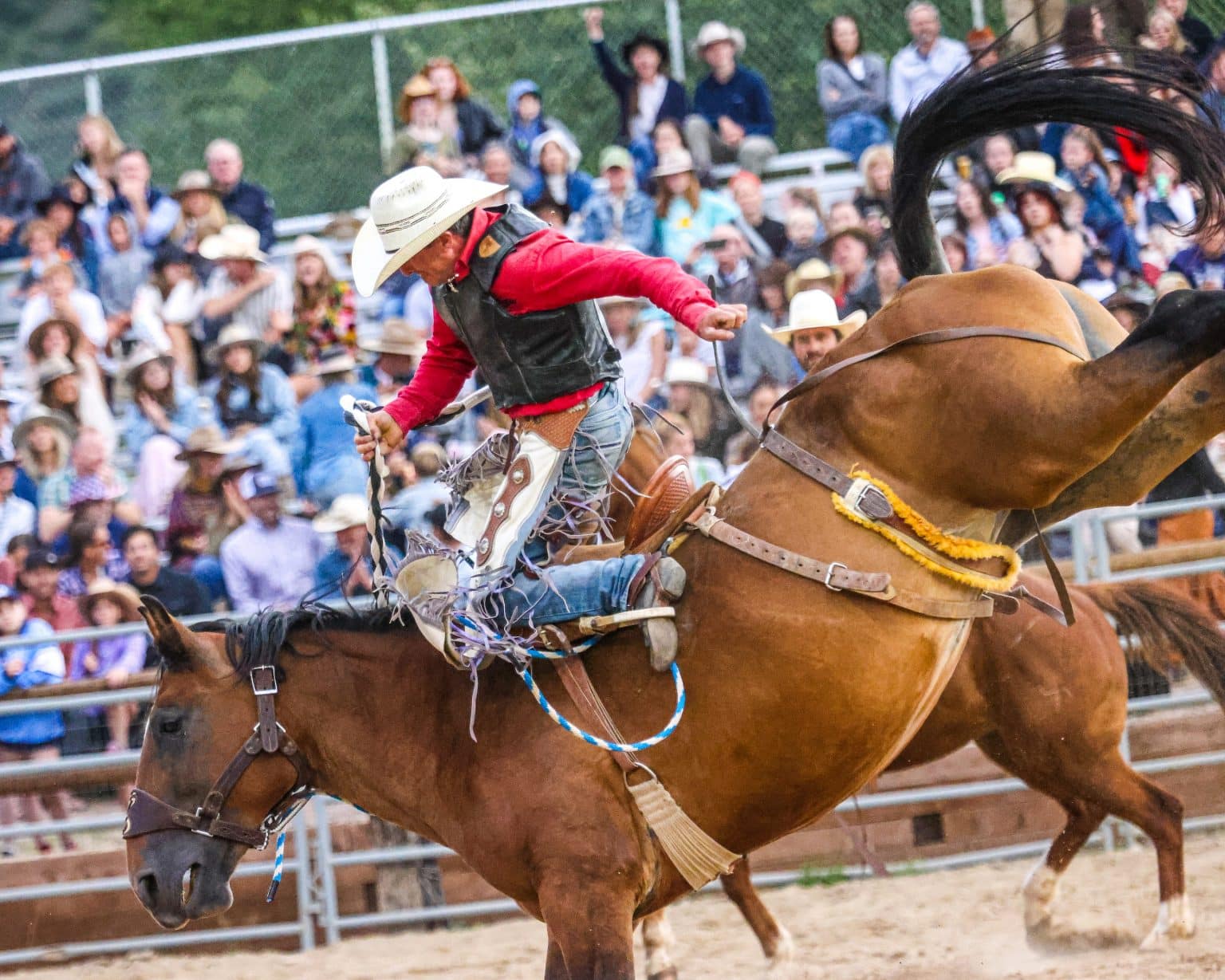 Yeehaw: A Q&A with arena director Jim Snyder ahead of Snowmass Rodeo ...